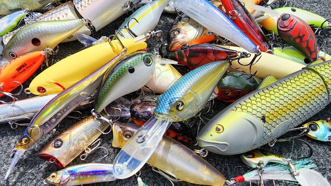 Fishing Lures 101: How to Choose the Right One – Besotted Lure
